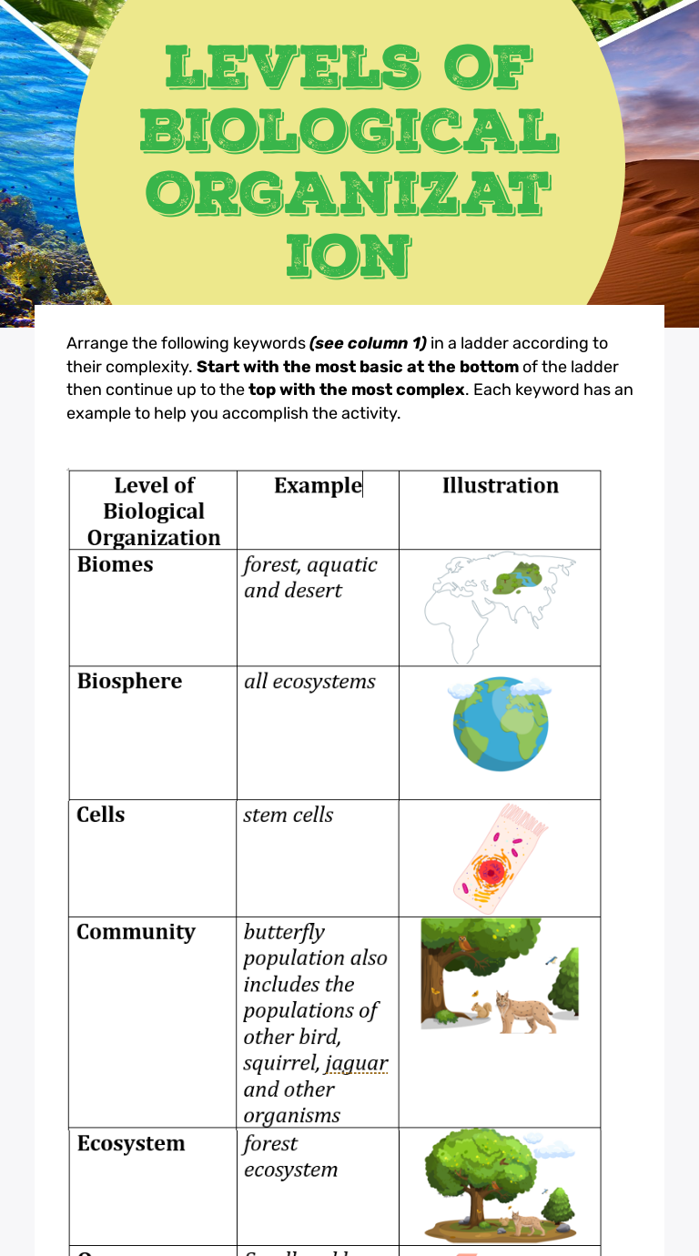 Levels of Biological Organization by JULIE ANN MALCAMPO | Interactive ...