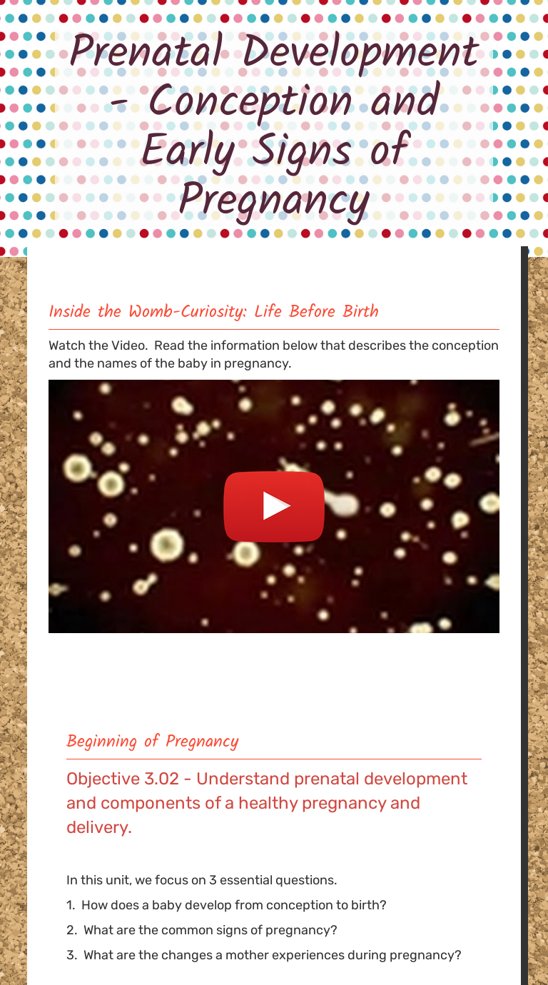 Prenatal Development Conception And Early Signs Of Pregnancy 