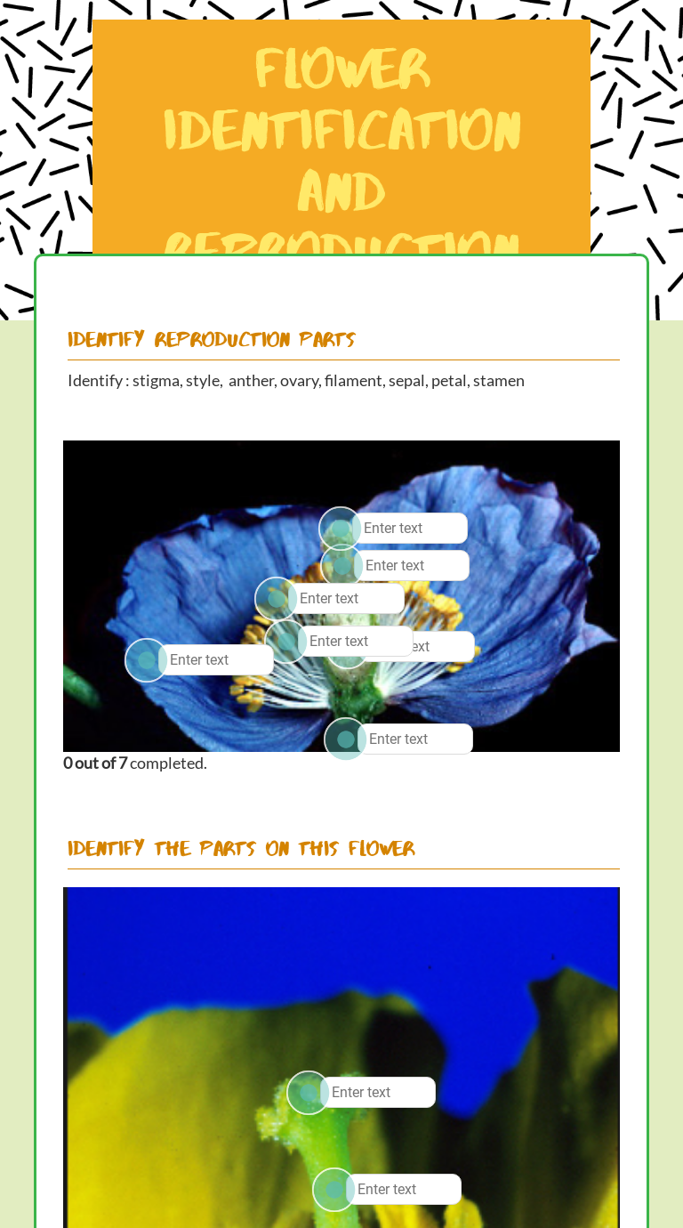 Flower Recognition Worksheets Flower Identification Display Posters