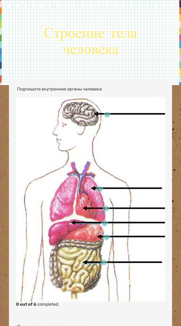 interactive-worksheet-by