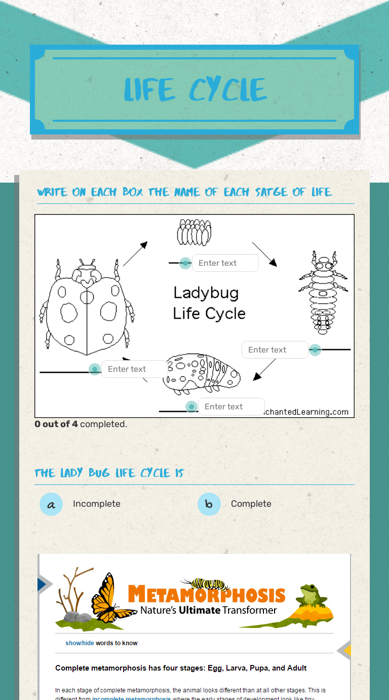 LIFE CYCLE | Interactive Worksheet by Elizabeth Meda Cruz | Wizer.me