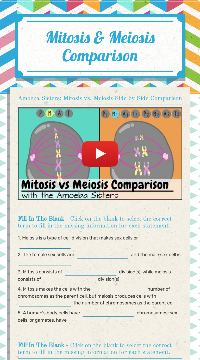 Meiosis Vs Mitosis Worksheet
