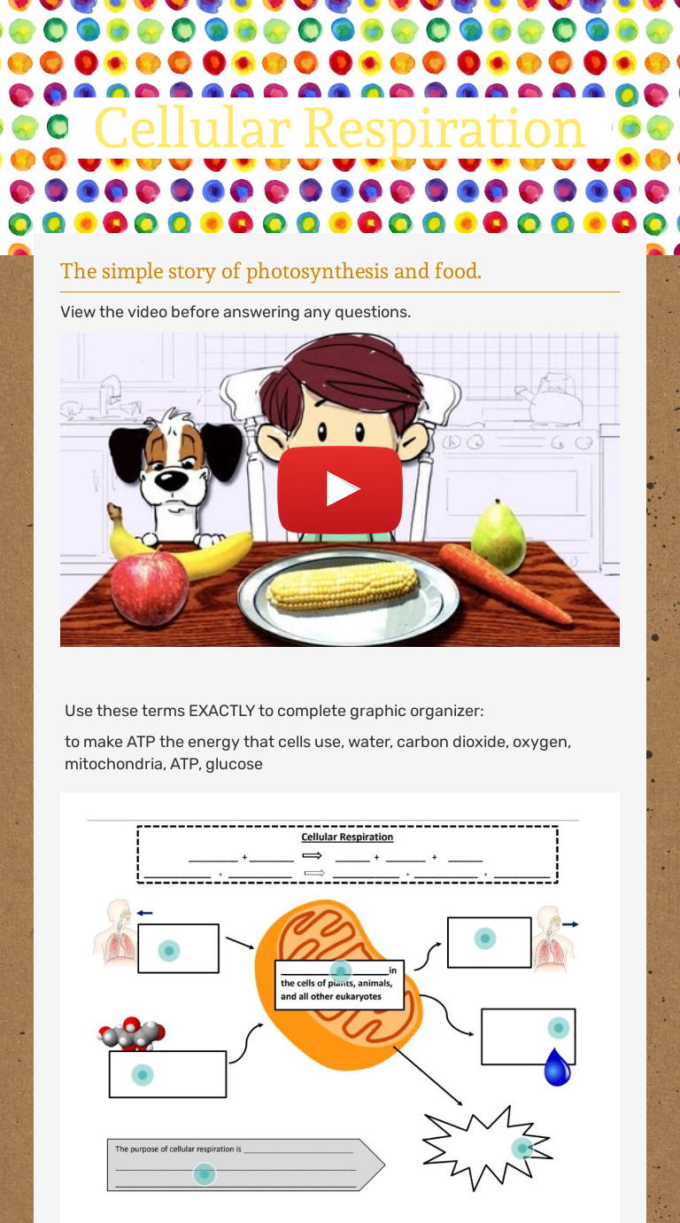 Simple Cellular Respiration Worksheet
