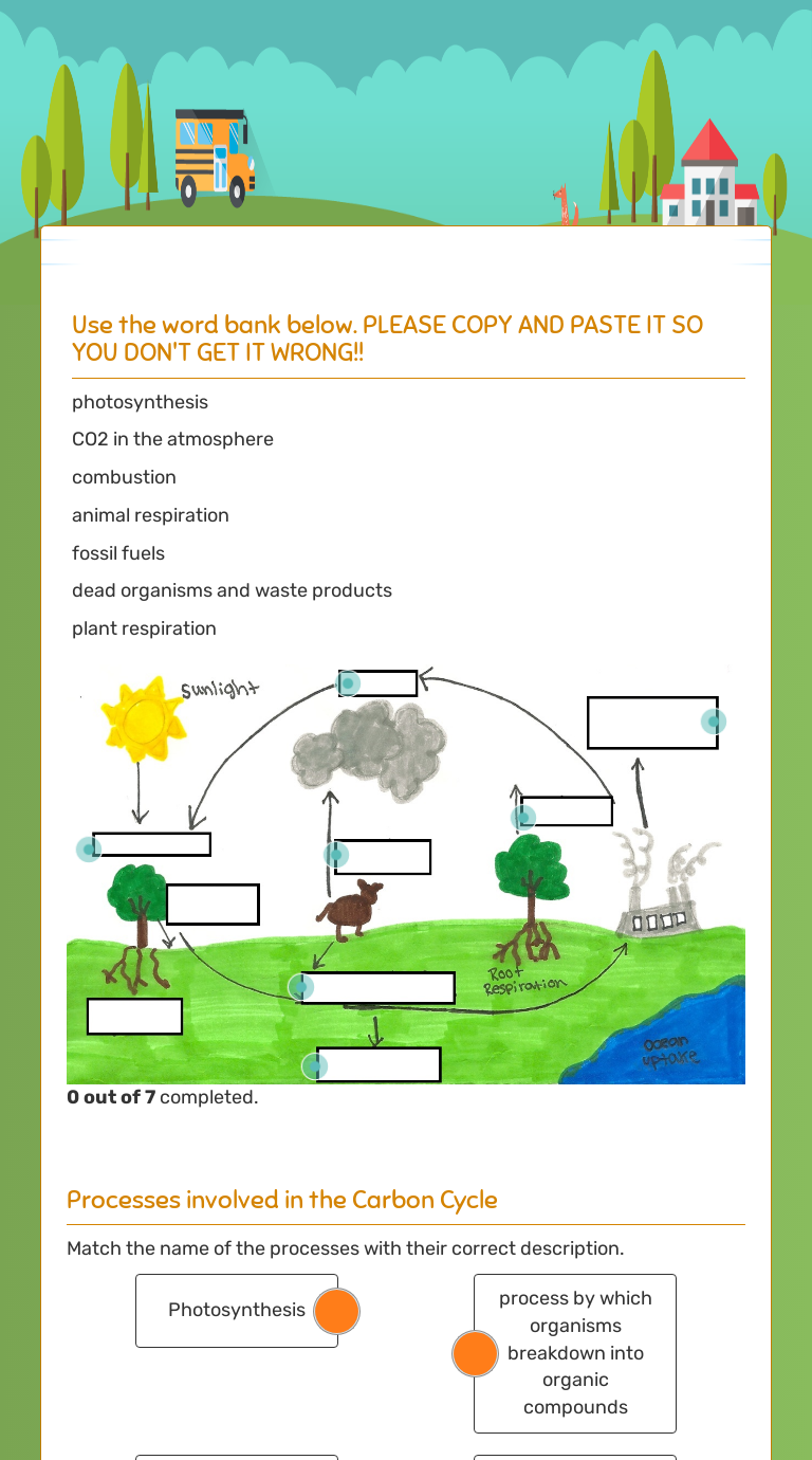 Carbon Cycle Quick Check by Pamela Lester | Interactive Worksheet ...