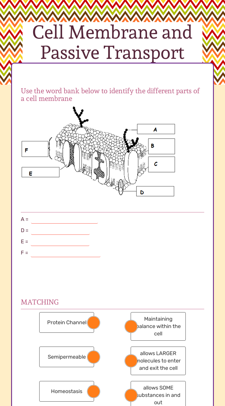 Master cell membrane passive transport! Learn osmosis, diffusion, and ...