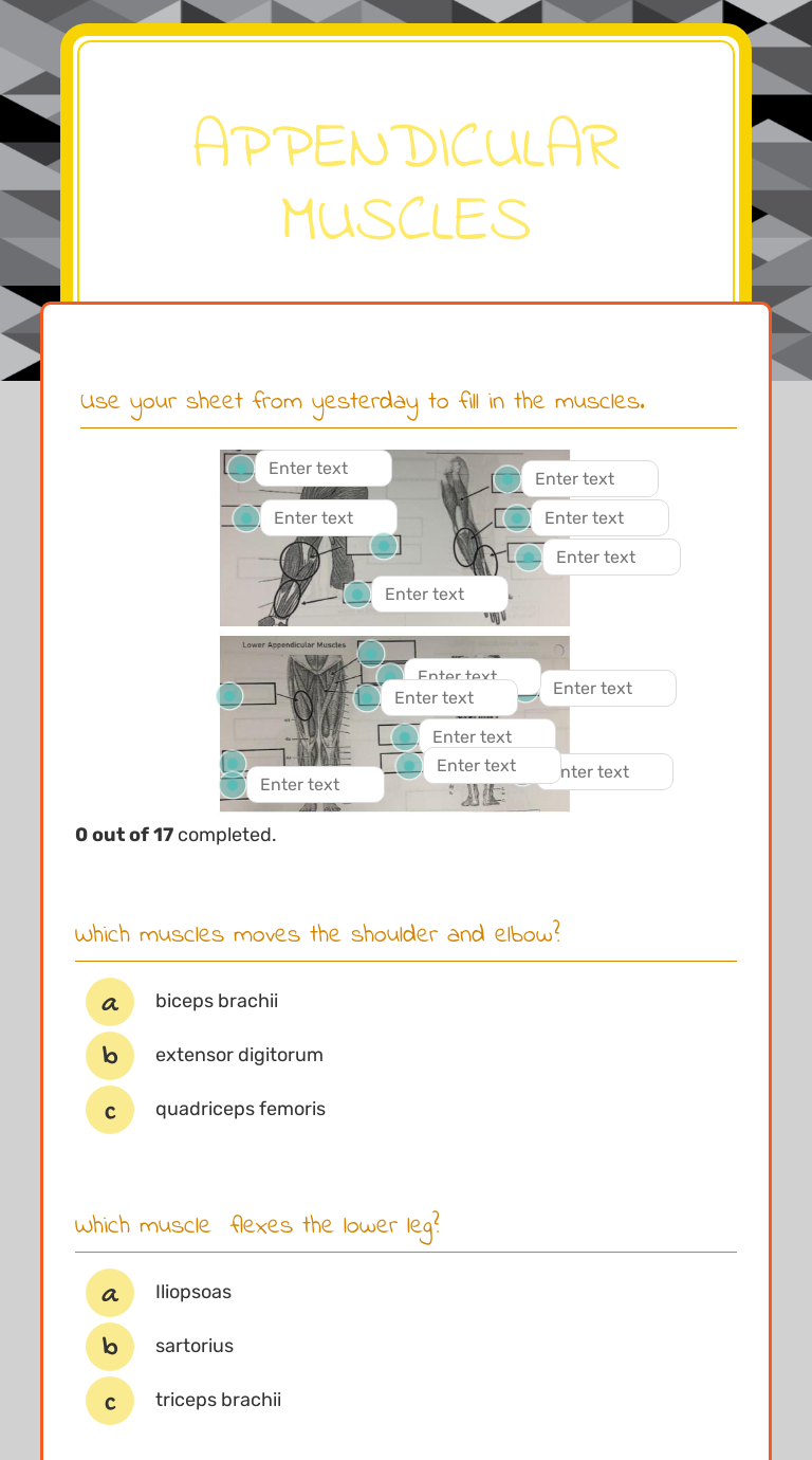 Master appendicular muscles! Identify and locate key muscles in arms ...