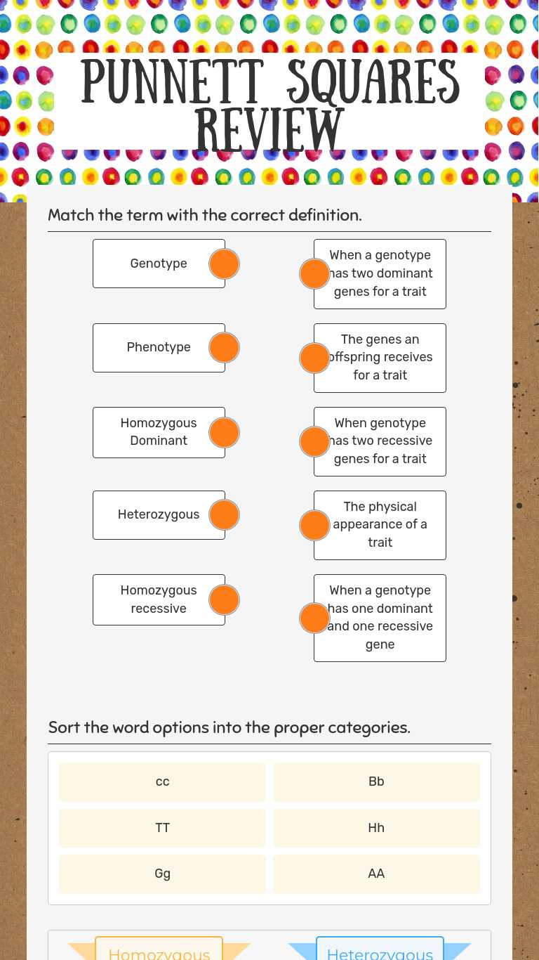 Punnett Squares Review worksheet