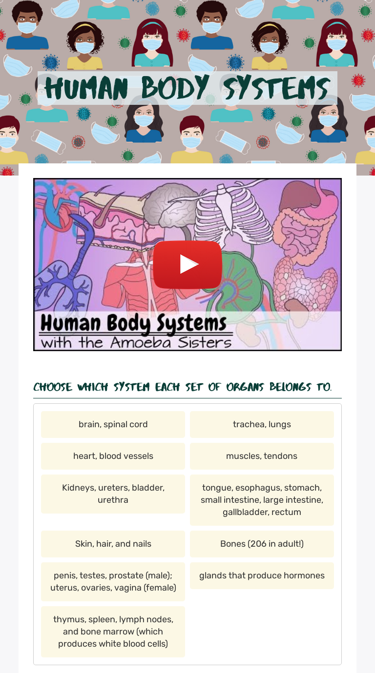 human-body-systems-interactive-worksheet-by-allison-williams-wizer-me