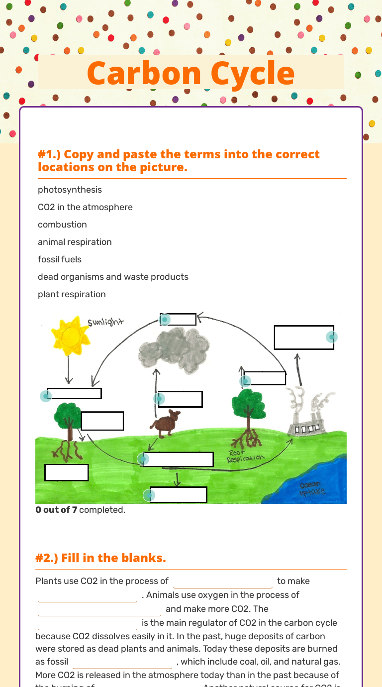 Blank Carbon Cycle Diagram Worksheet