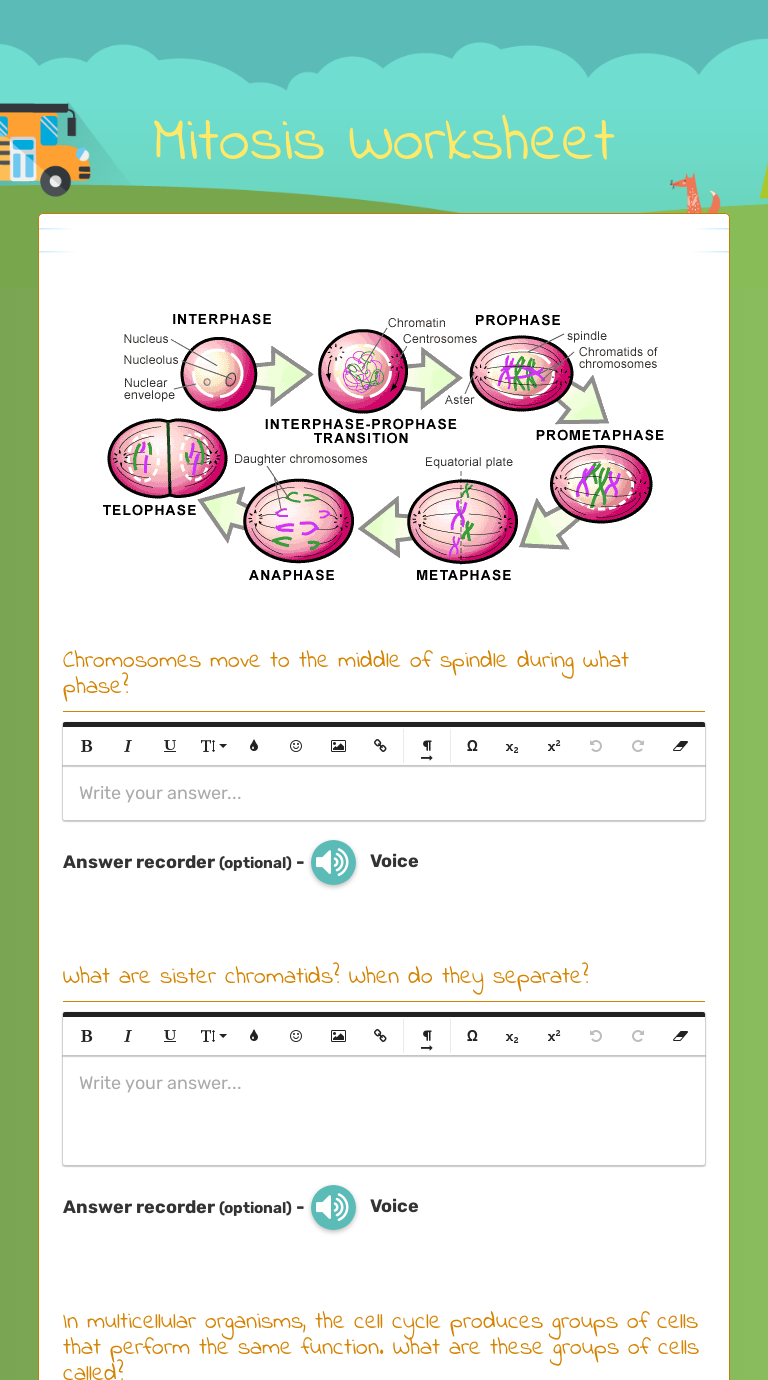 Mitosis Worksheet