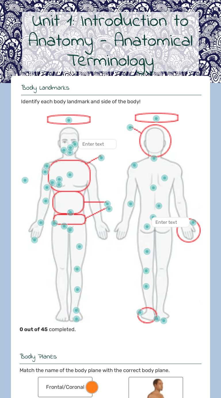 Anatomy Of The Body Landmarks Worksheets