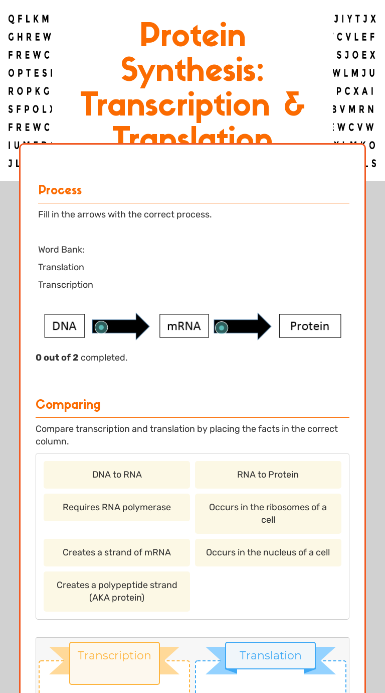 Protein Synthesis: Transcription & Translation | Interactive Worksheet ...