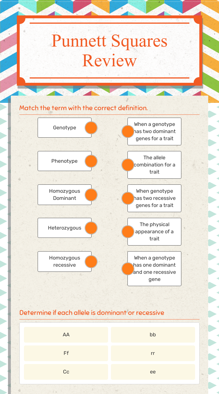 Punnett Squares Review by Ernestine Backus | Interactive Worksheet ...