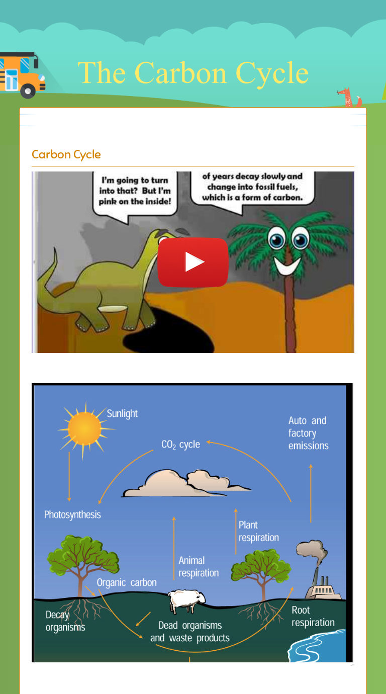 Carbon Cycle Worksheet