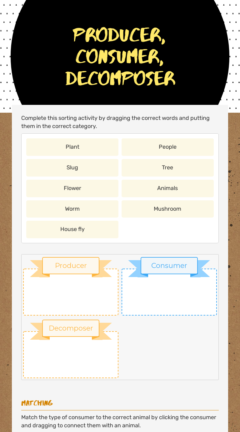 Producer Consumer Decomposer Interactive Worksheet By Macy Wallisch