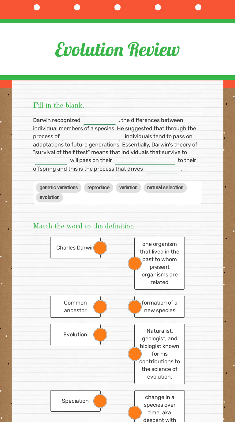 Evolution Review worksheet