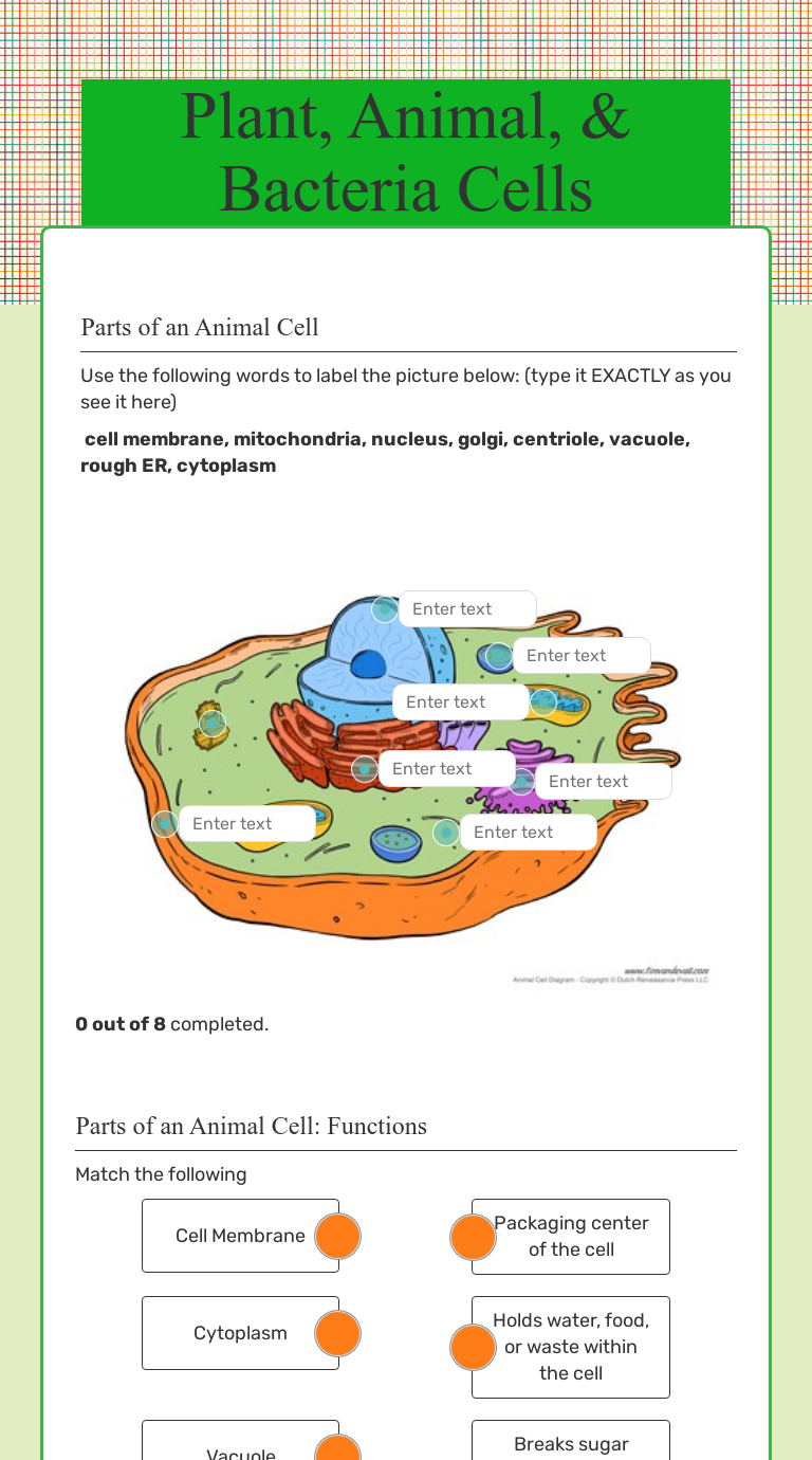 Plant, Animal, & Bacteria Cells | Interactive Worksheet by Pamela ...