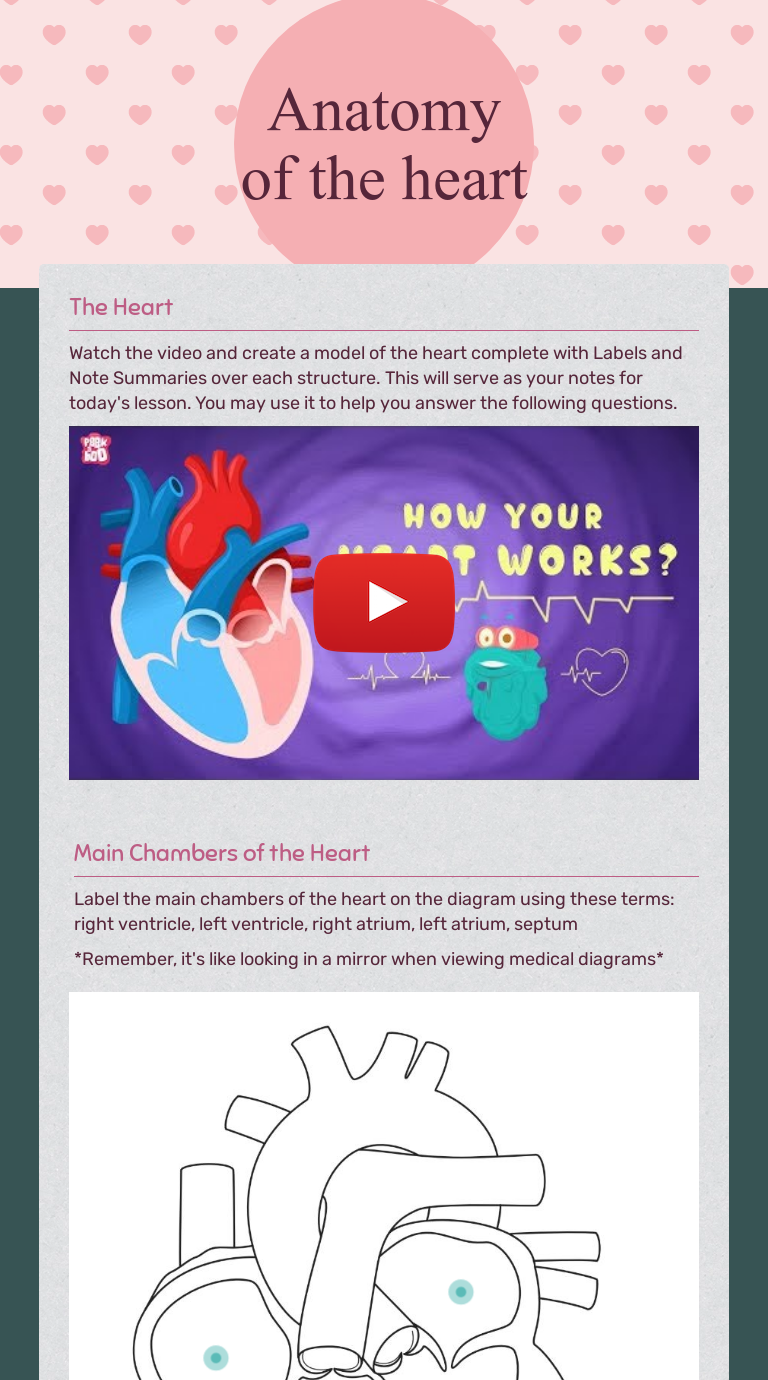 anatomy-of-the-heart-interactive-worksheet-by-cheyenne-o-brien-wizer-me