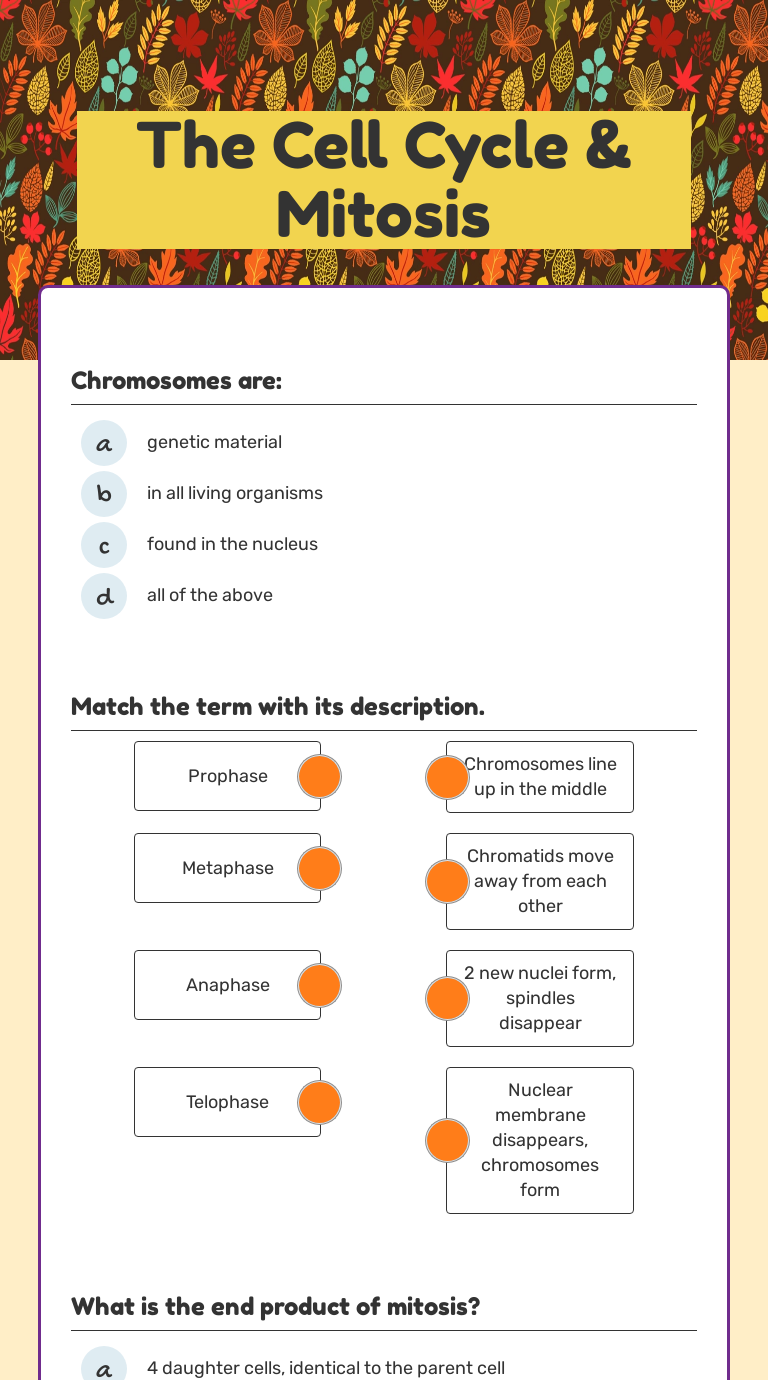 Cell Cycle And Mitosis