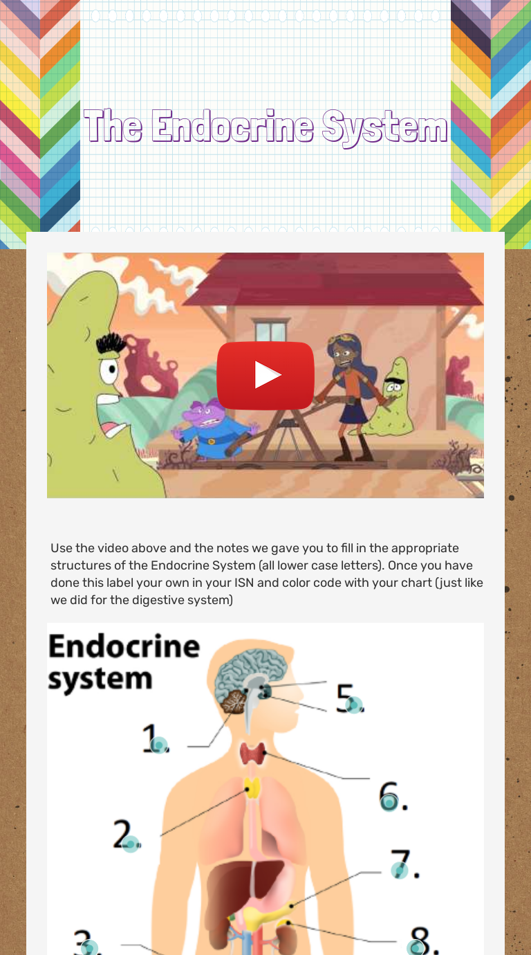 The Endocrine System | Interactive Worksheet by Smith, J | Wizer.me