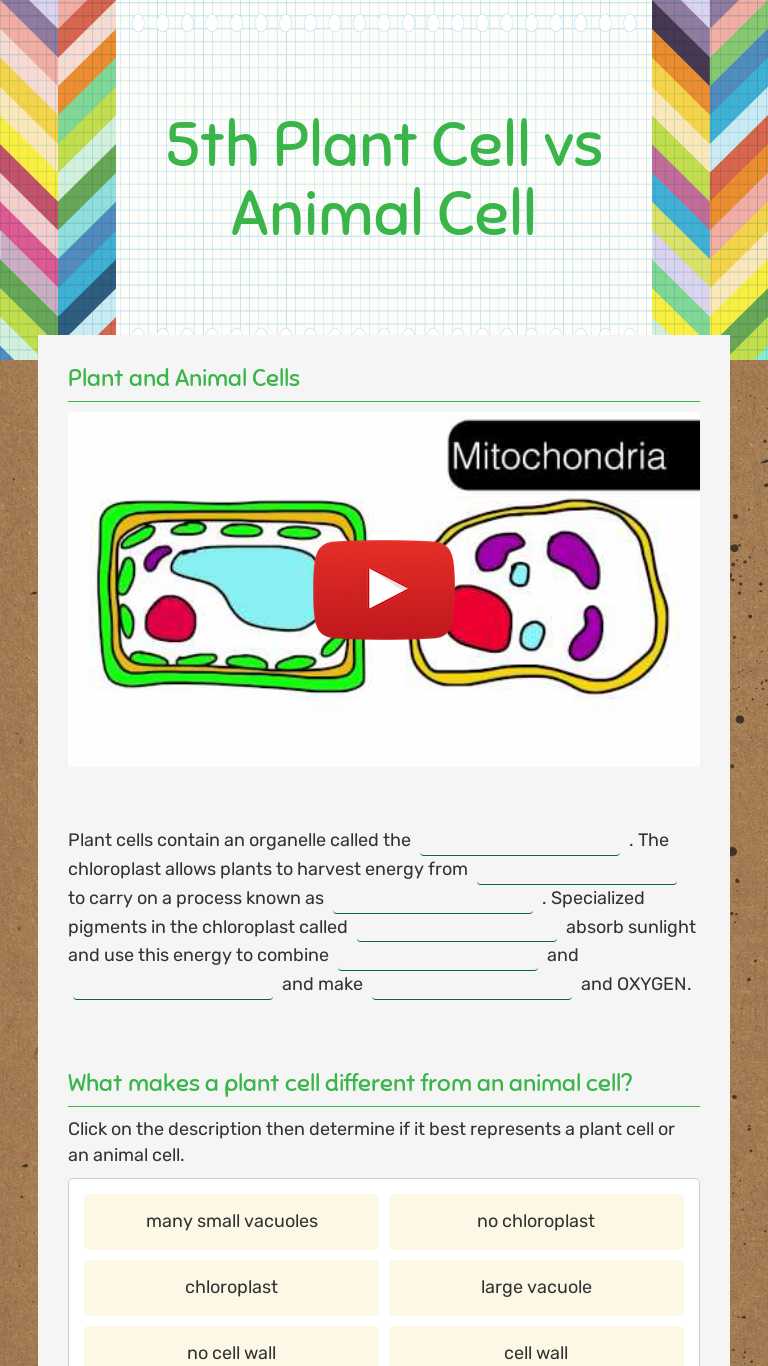 Plant Cell Interactive Worksheet