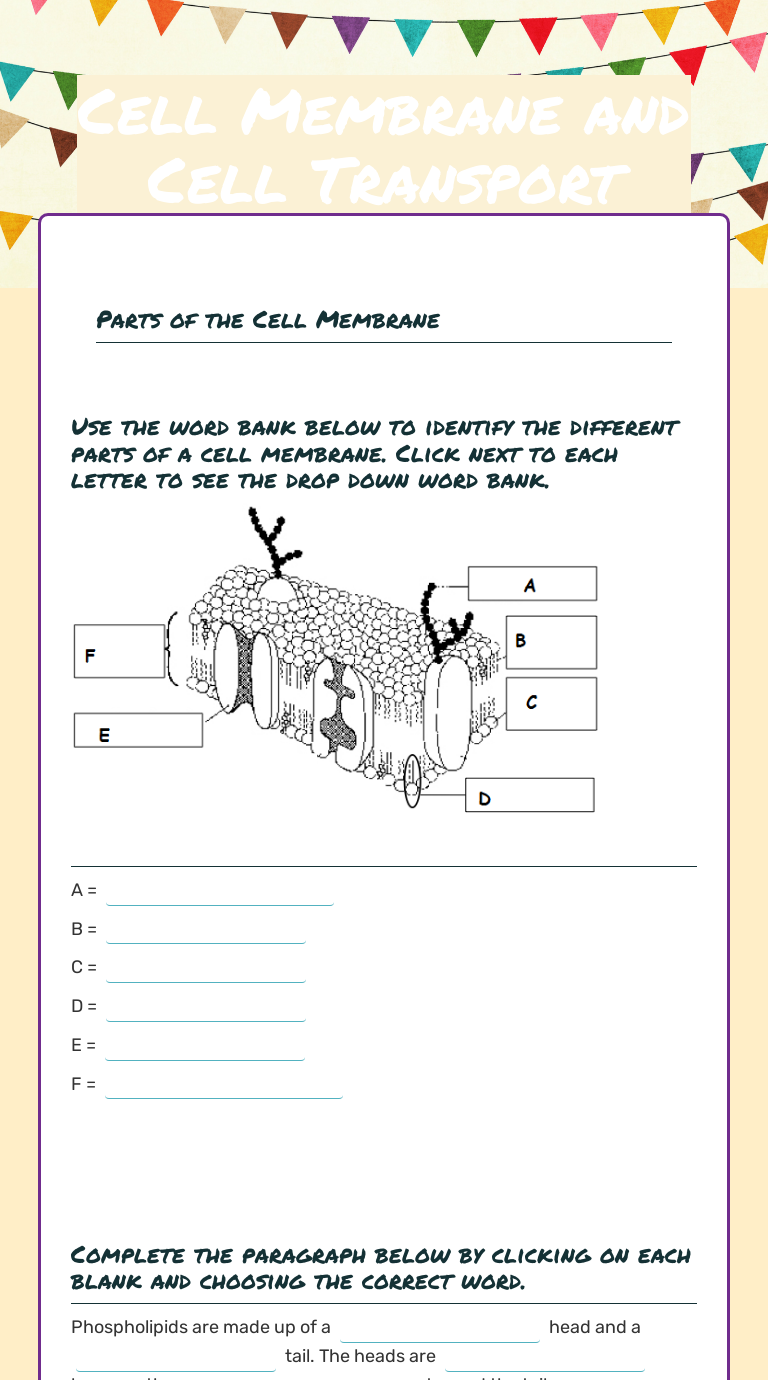 Cell Transport Worksheet