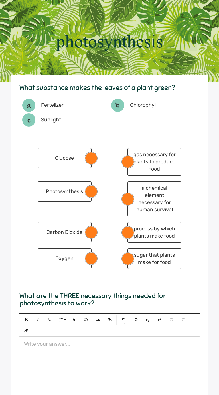 photosynthesis-interactive-worksheet-by-meade-reihl-wizer-me