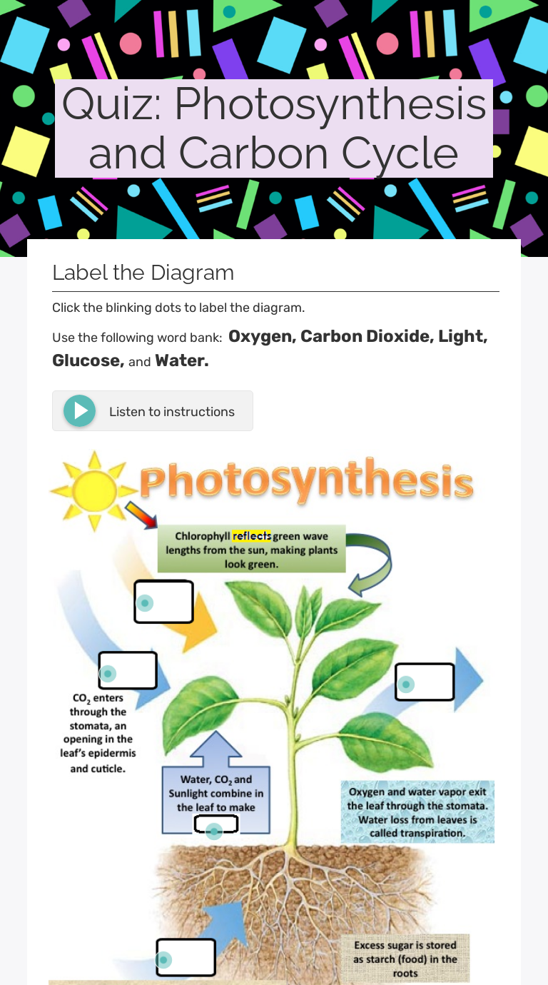 Quiz: Photosynthesis and Carbon Cycle | Interactive Worksheet by ...
