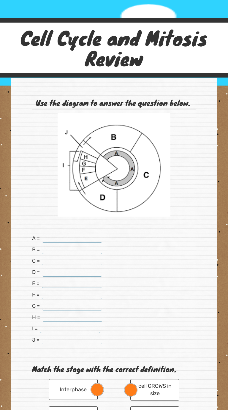 Cell Cycle and Mitosis Review | Interactive Worksheet by Kerri Brown ...