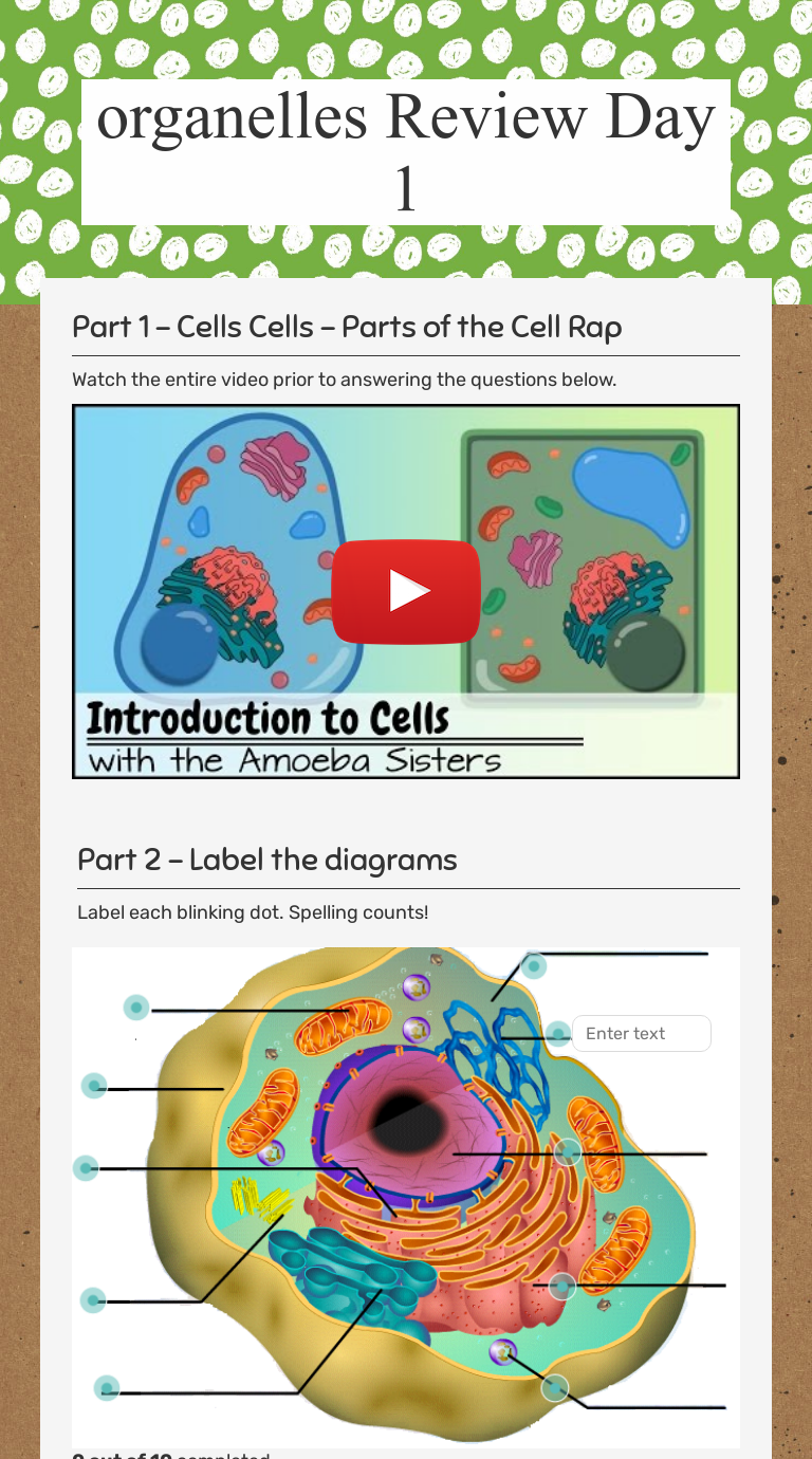 organelles Review Day 1