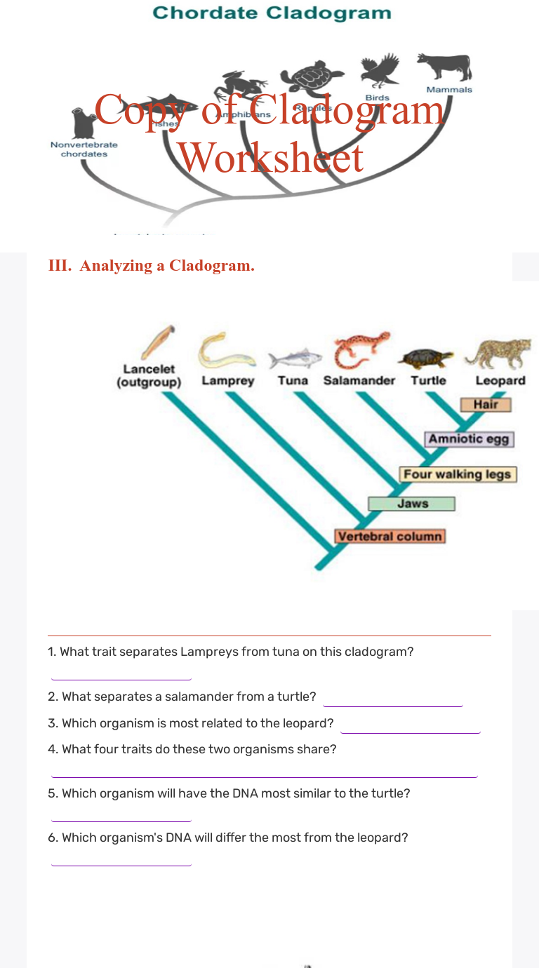 Cladogram Activity Worksheet