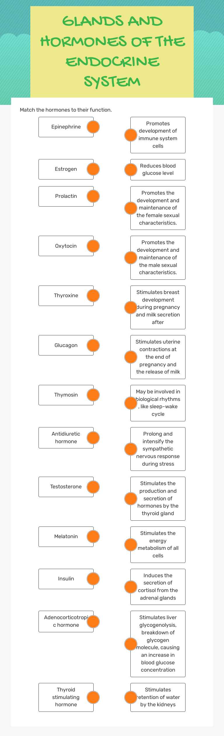 GLANDS AND HORMONES OF THE ENDOCRINE SYSTEM by Ana Magbag | Interactive ...