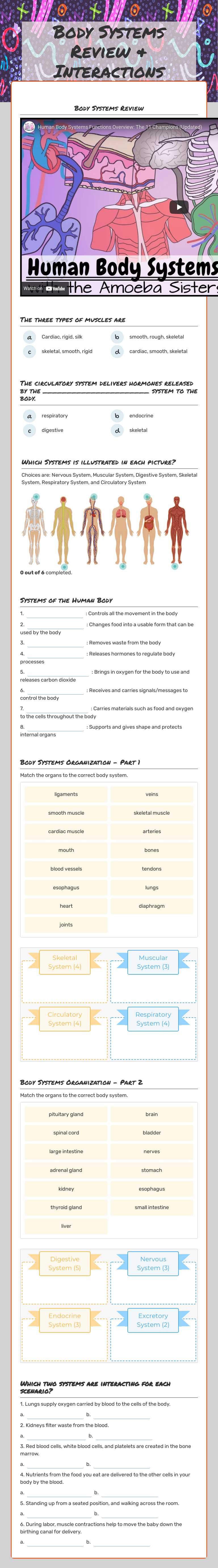 Body Systems Review & Interactions by Jamie Hembree | Interactive ...