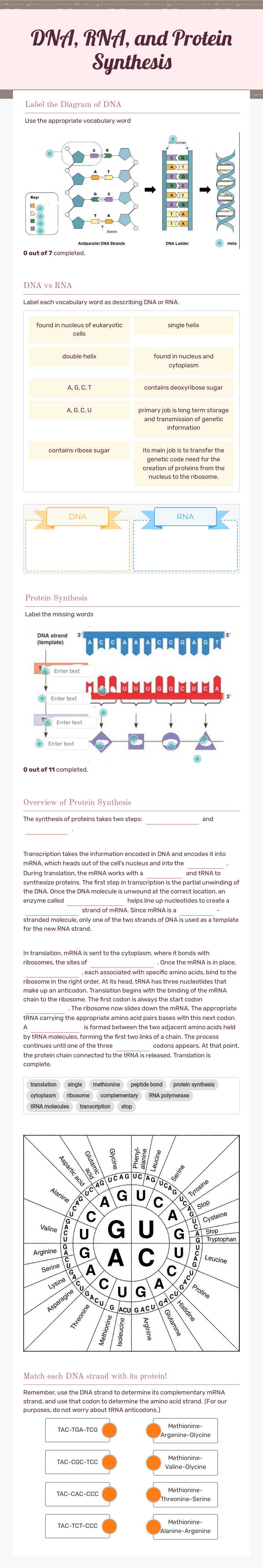 Master DNA, RNA, and protein synthesis! This worksheet covers ...