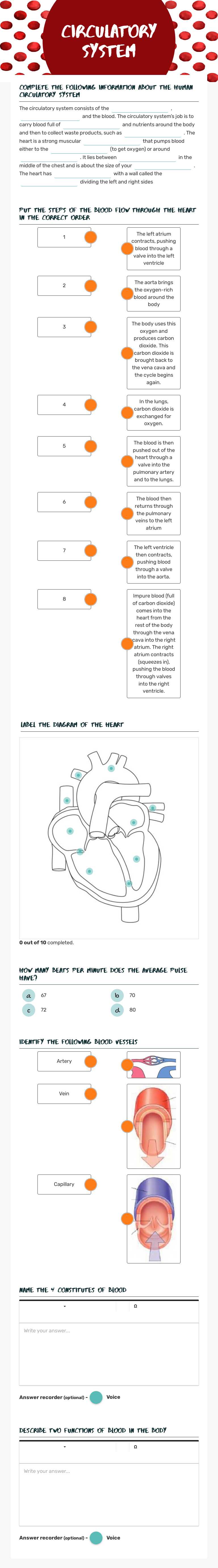 Circulatory System by Aisling Carroll | Interactive Worksheet | Wizer.me