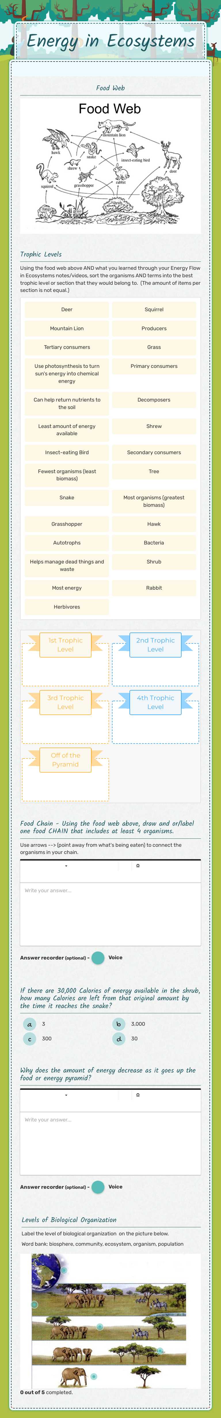 Master energy flow in ecosystems! Worksheet covers trophic levels, food ...