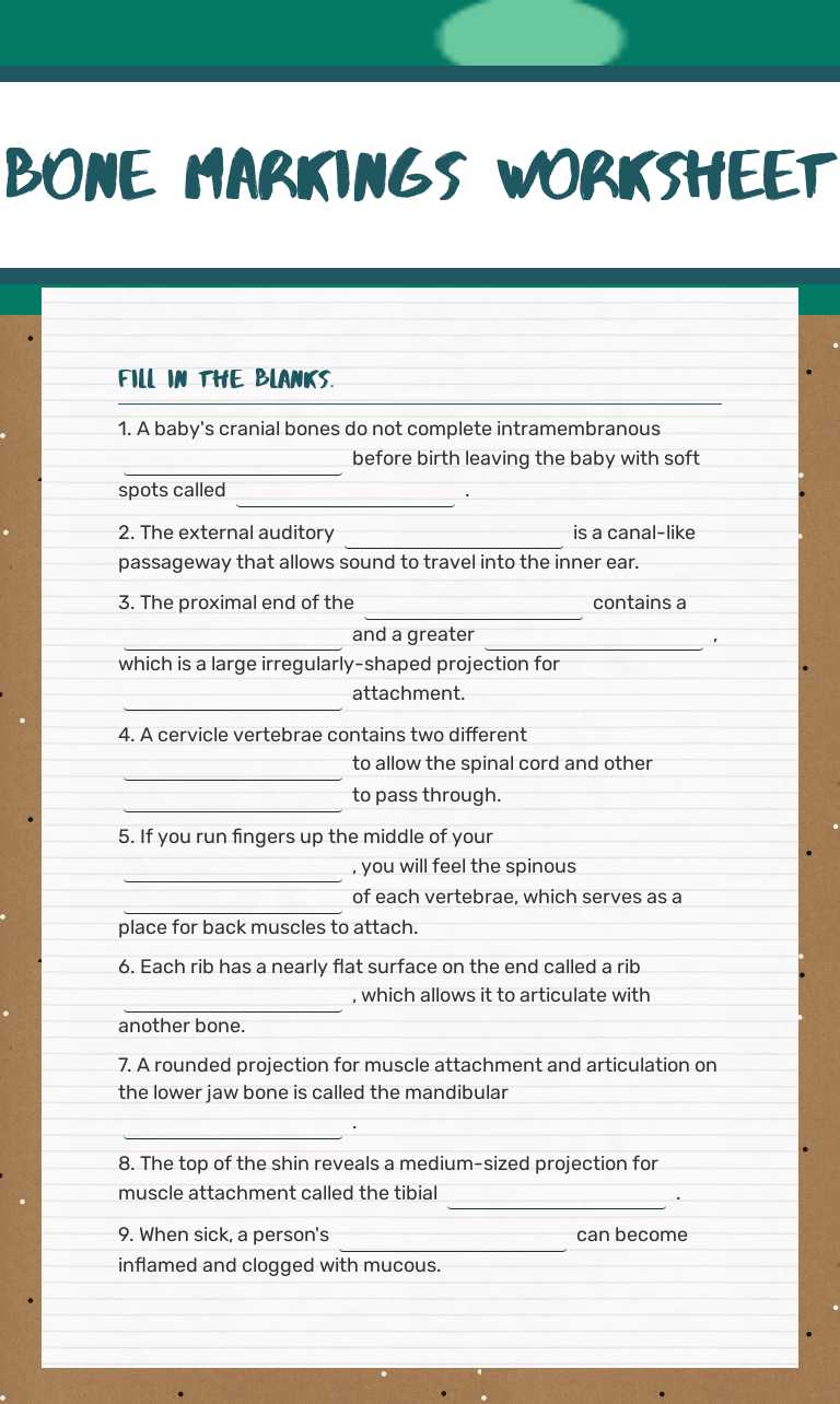 Master human anatomy: Bone Markings Worksheet for science students ...
