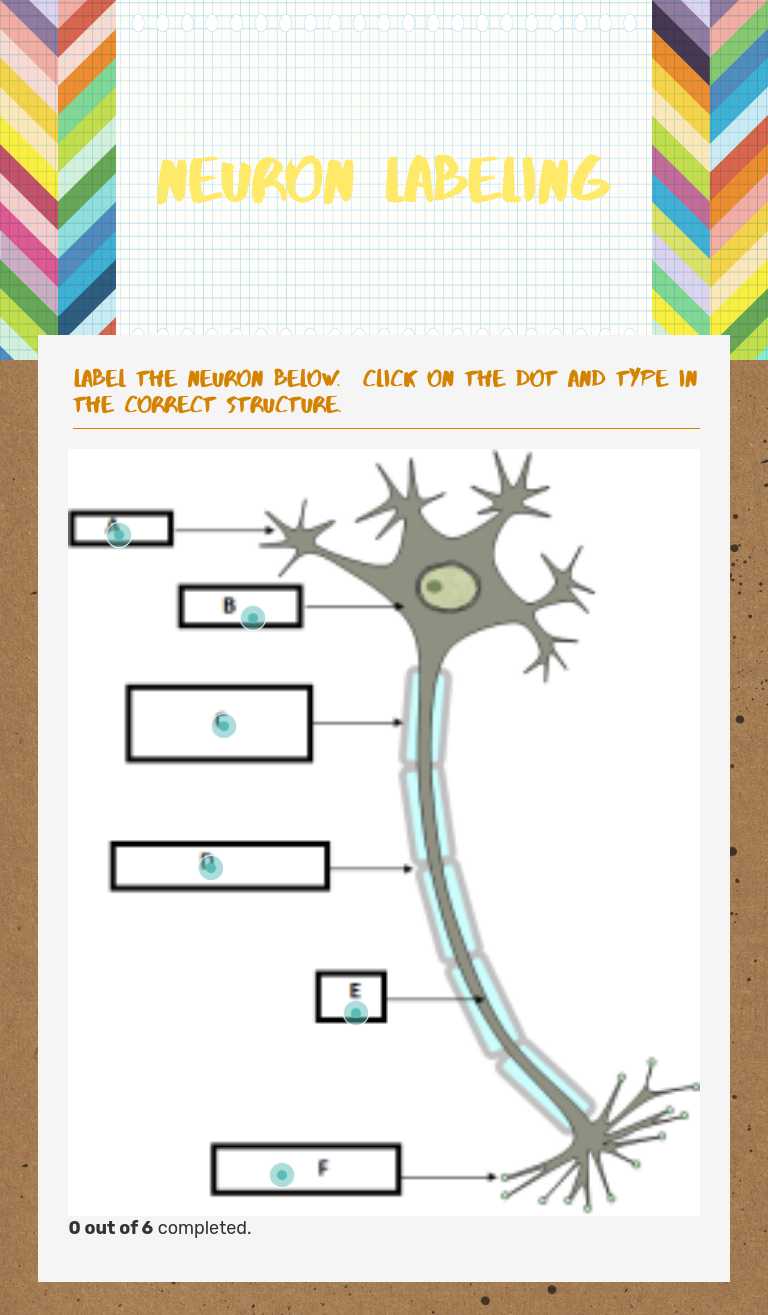 Neuron Labeling | Interactive Worksheet | Wizer.me