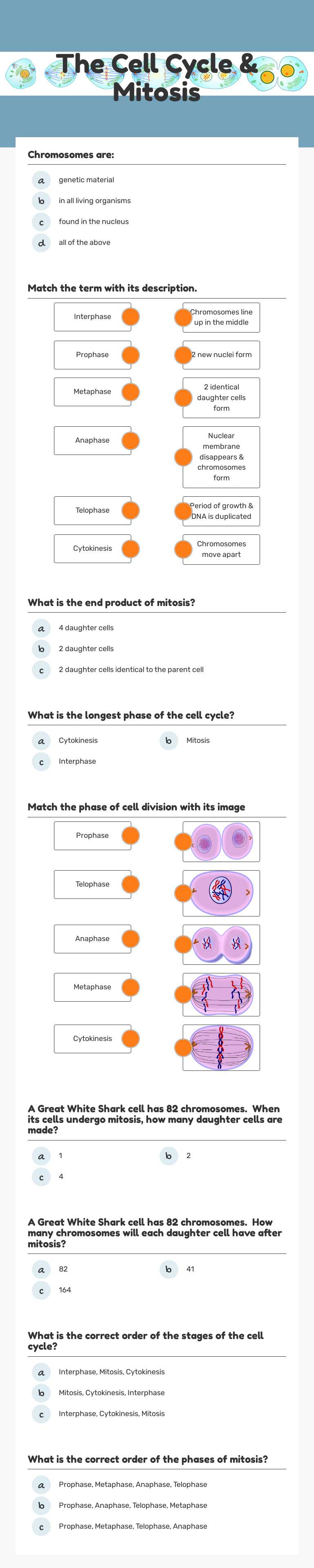The Cell Cycle & Mitosis by Lindsey Turner | Interactive Worksheet ...