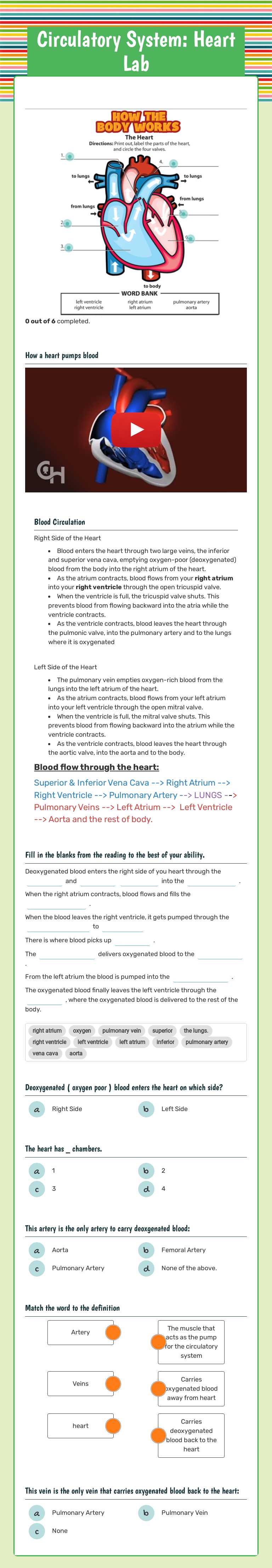 Master the heart's blood flow! Our Circulatory System Heart Lab ...