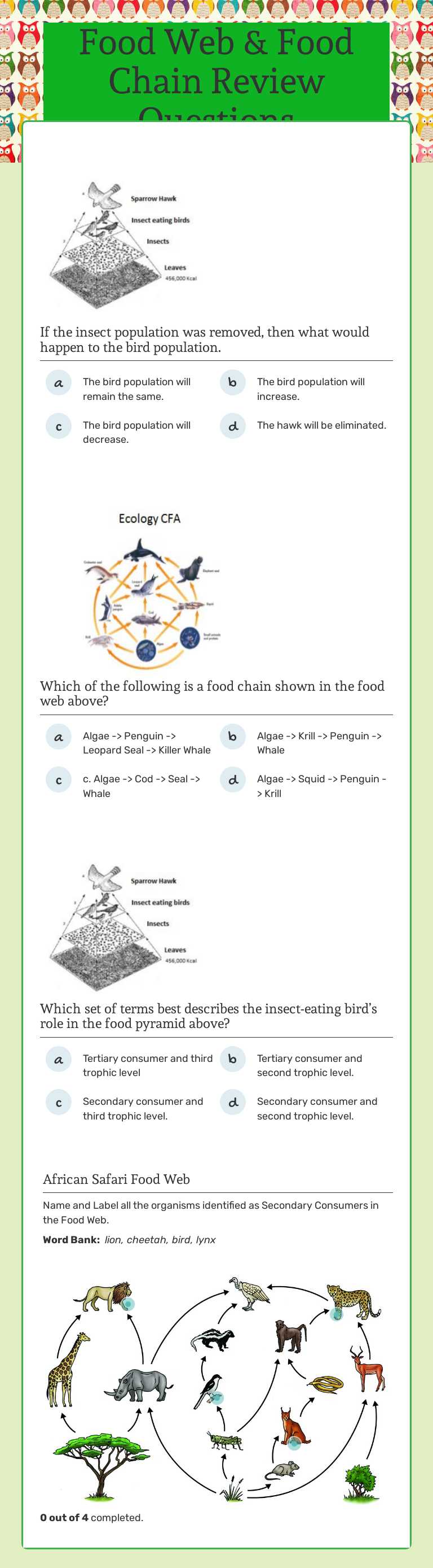 Food Web & Food Chain Review Questions by Brianne Como | Interactive ...