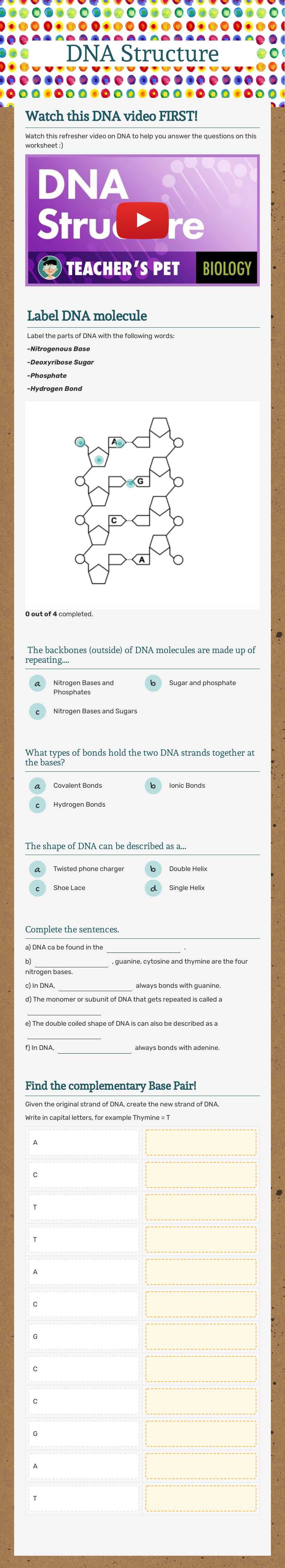 DNA Structure by Vanessa Somchith | Interactive Worksheet | Wizer.me