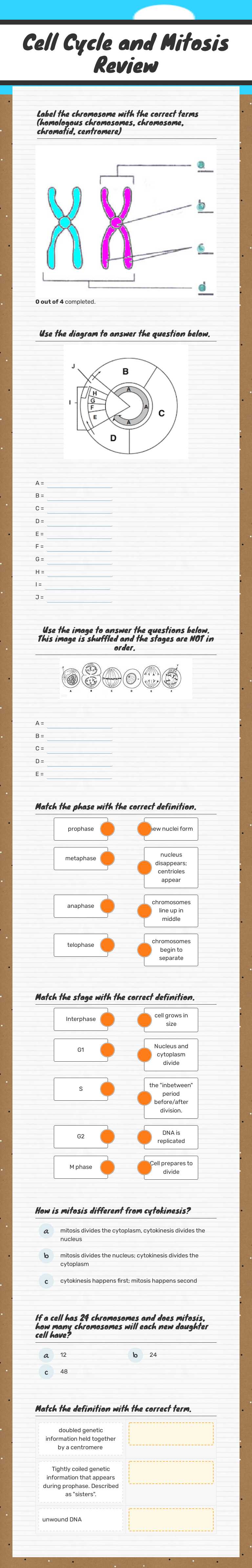 Cell Cycle and Mitosis Review by Vanessa High) | Interactive Worksheet ...
