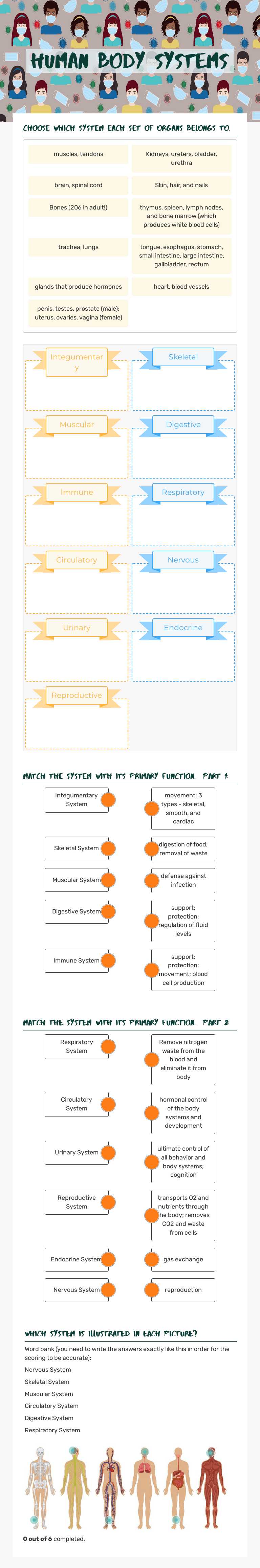 Human Body systems by Tina McCollum | Interactive Worksheet | Wizer.me