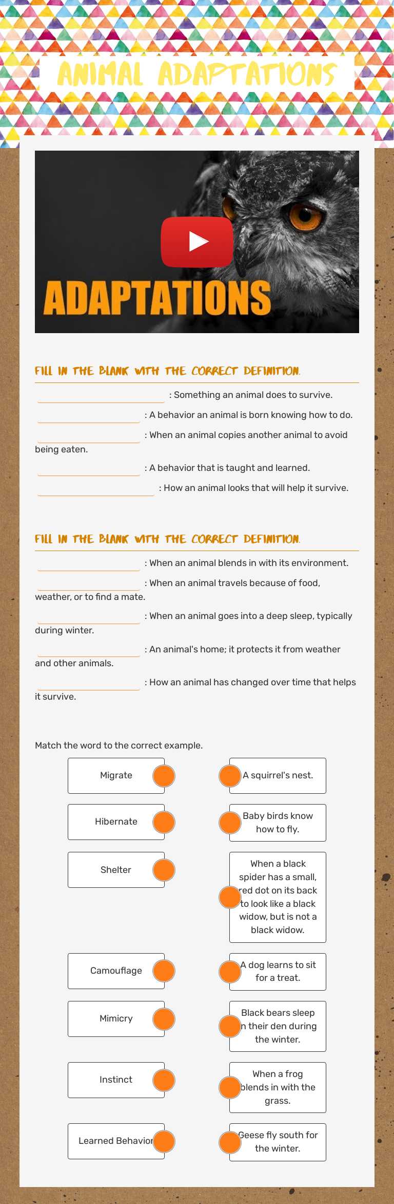 Animal Adaptations by Jennifer Dews | Interactive Worksheet | Wizer.me