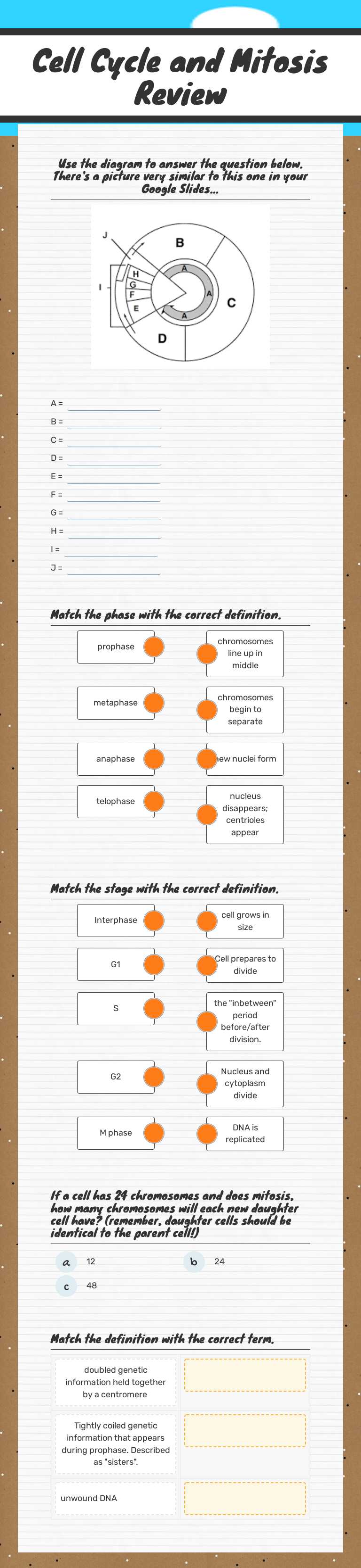 Cell Cycle and Mitosis Review by MICHELLE PAGE | Interactive Worksheet ...