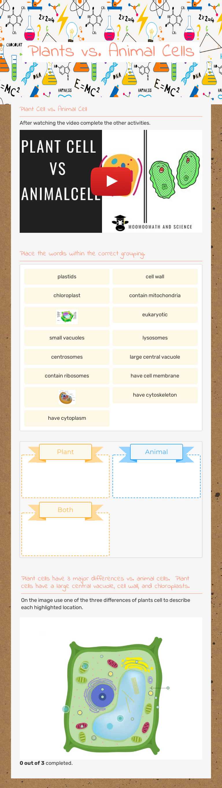 Plants vs. Animal Cells by Cynthia Luciano | Interactive Worksheet ...
