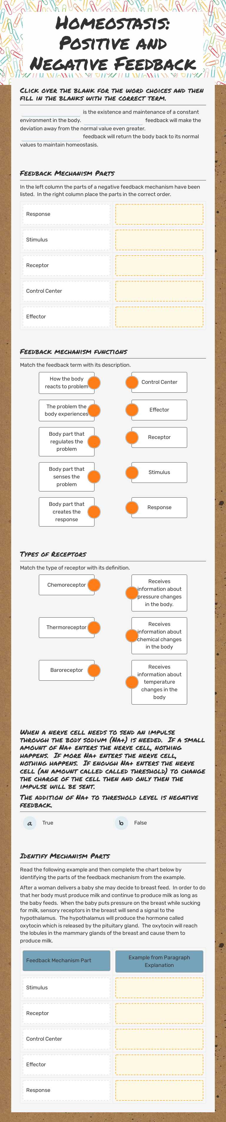 Homeostasis: Positive and Negative Feedback by Michael Midura ...