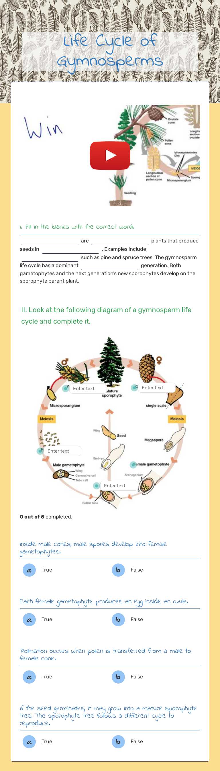 Life Cycle of Gymnosperms by Yessica Gamez | Interactive Worksheet ...