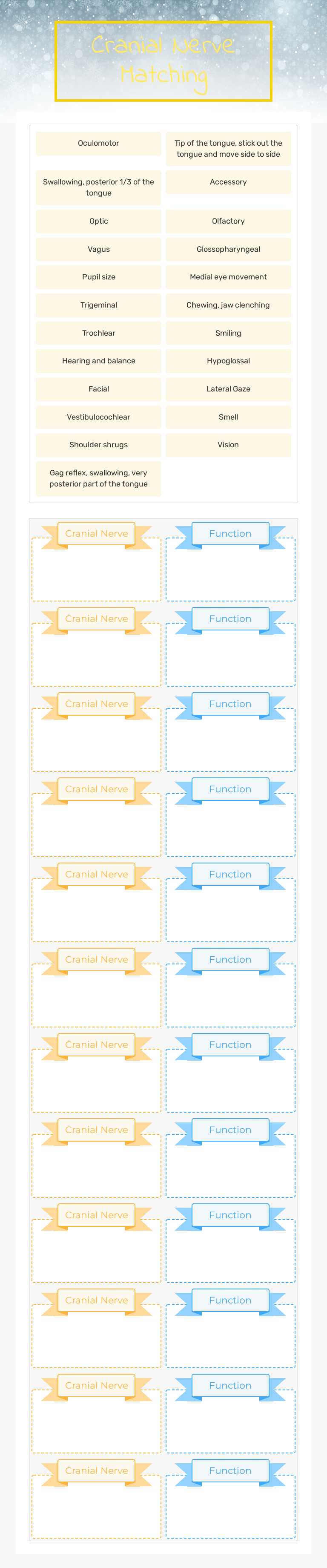 Master cranial nerve functions with our interactive matching worksheet ...